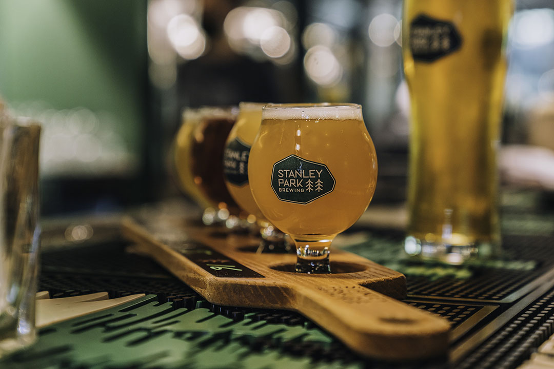 DSC0332_eb0e6eb9-09a3-44e6-a8ec-b51fda670ec6.jpg?v=1737189451&width=2048